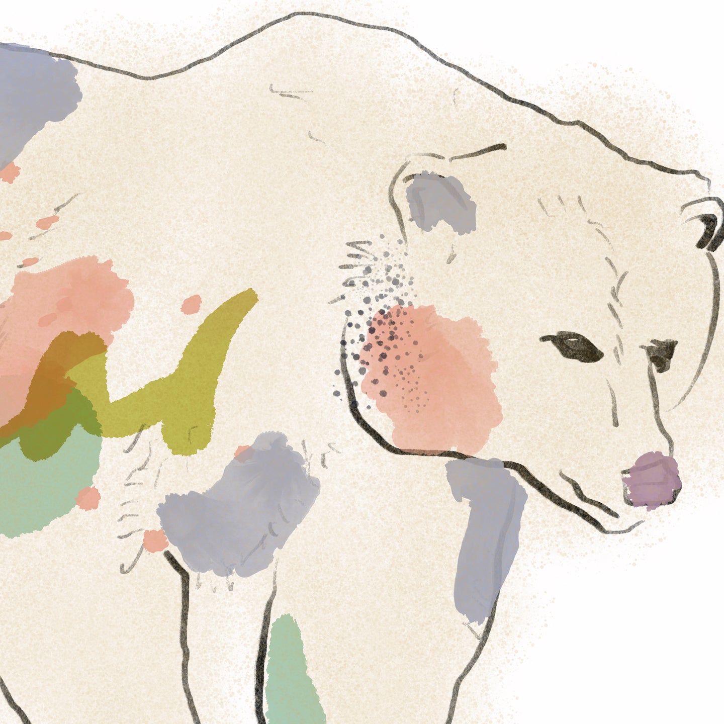 Brainy Bear Collection – monochromecanvas