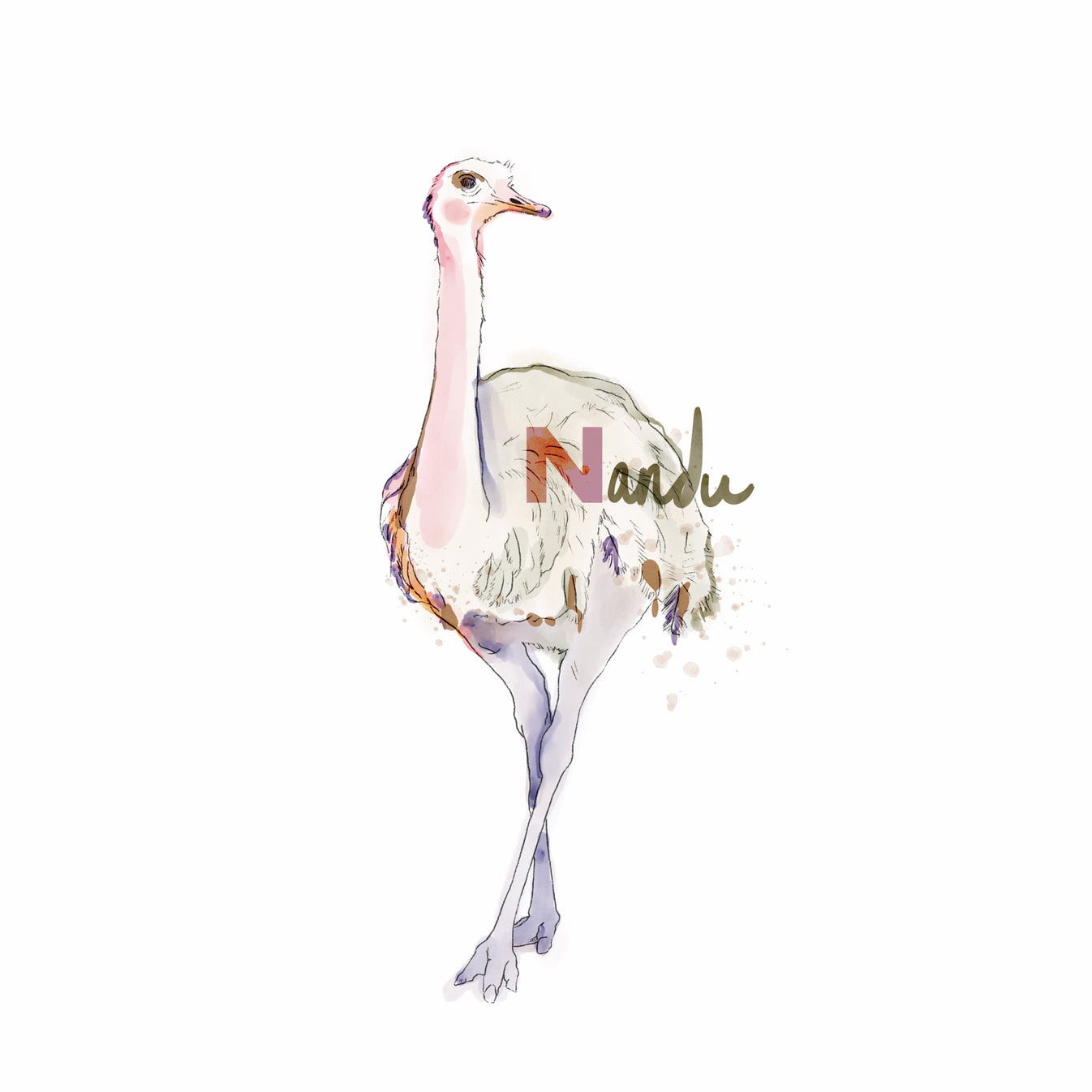 Nandu – monochromecanvas