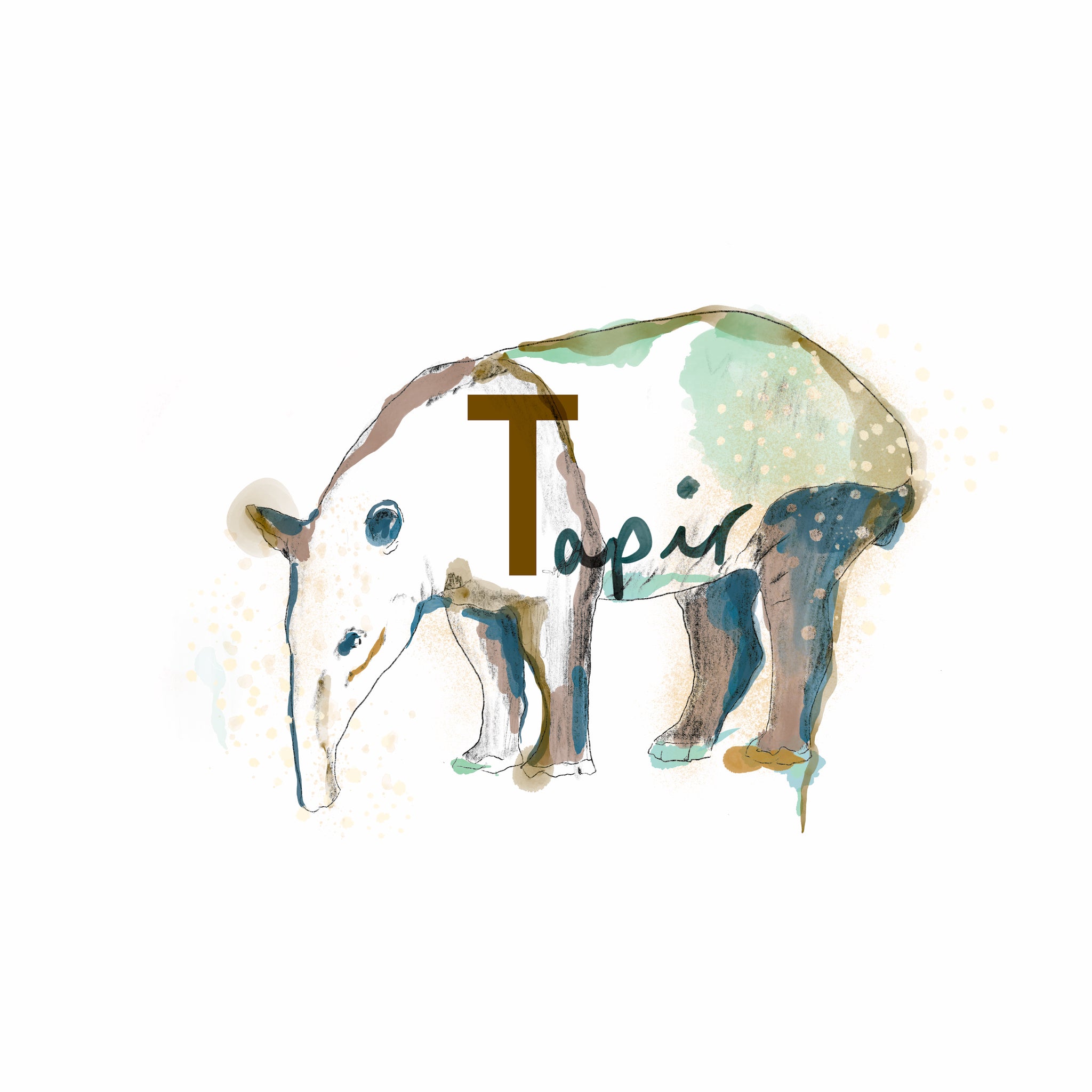 Tapir – monochromecanvas