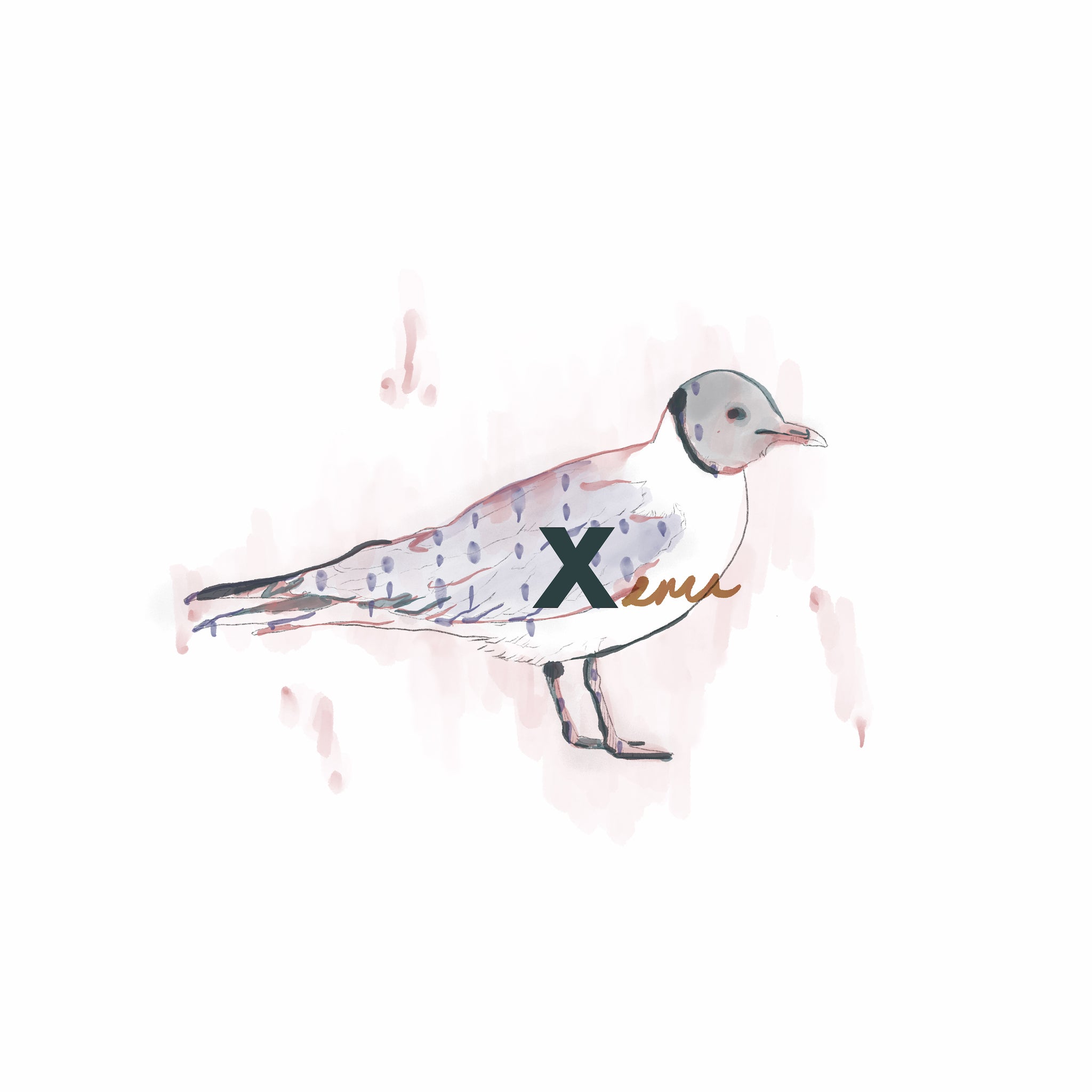 Xema – monochromecanvas